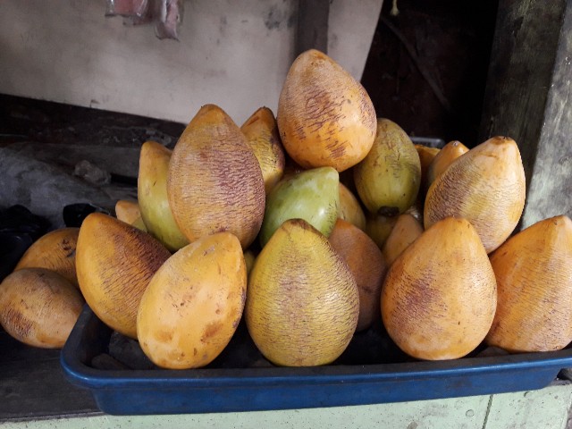 Buah Campolay, Buah Lokal Mirip Ubi Jalar | Dewipuspasari's Weblog