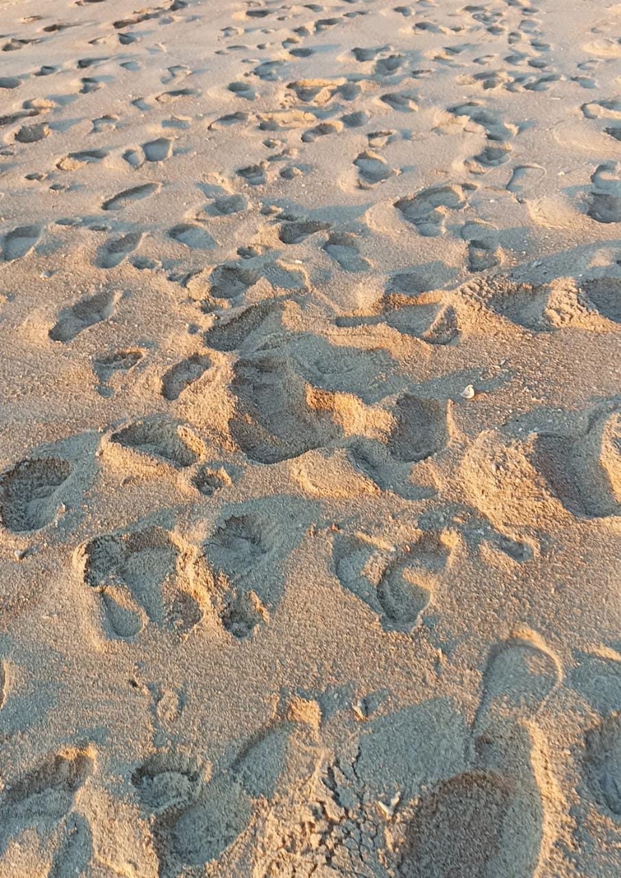 Jejak | Dewipuspasari's Weblog