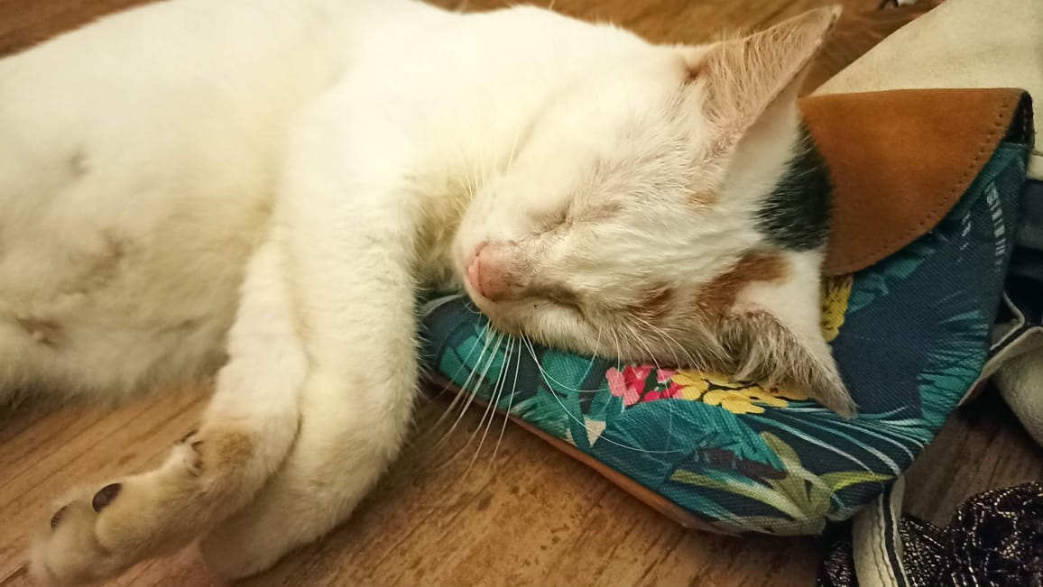 Sesuatu | Dewipuspasari's Weblog