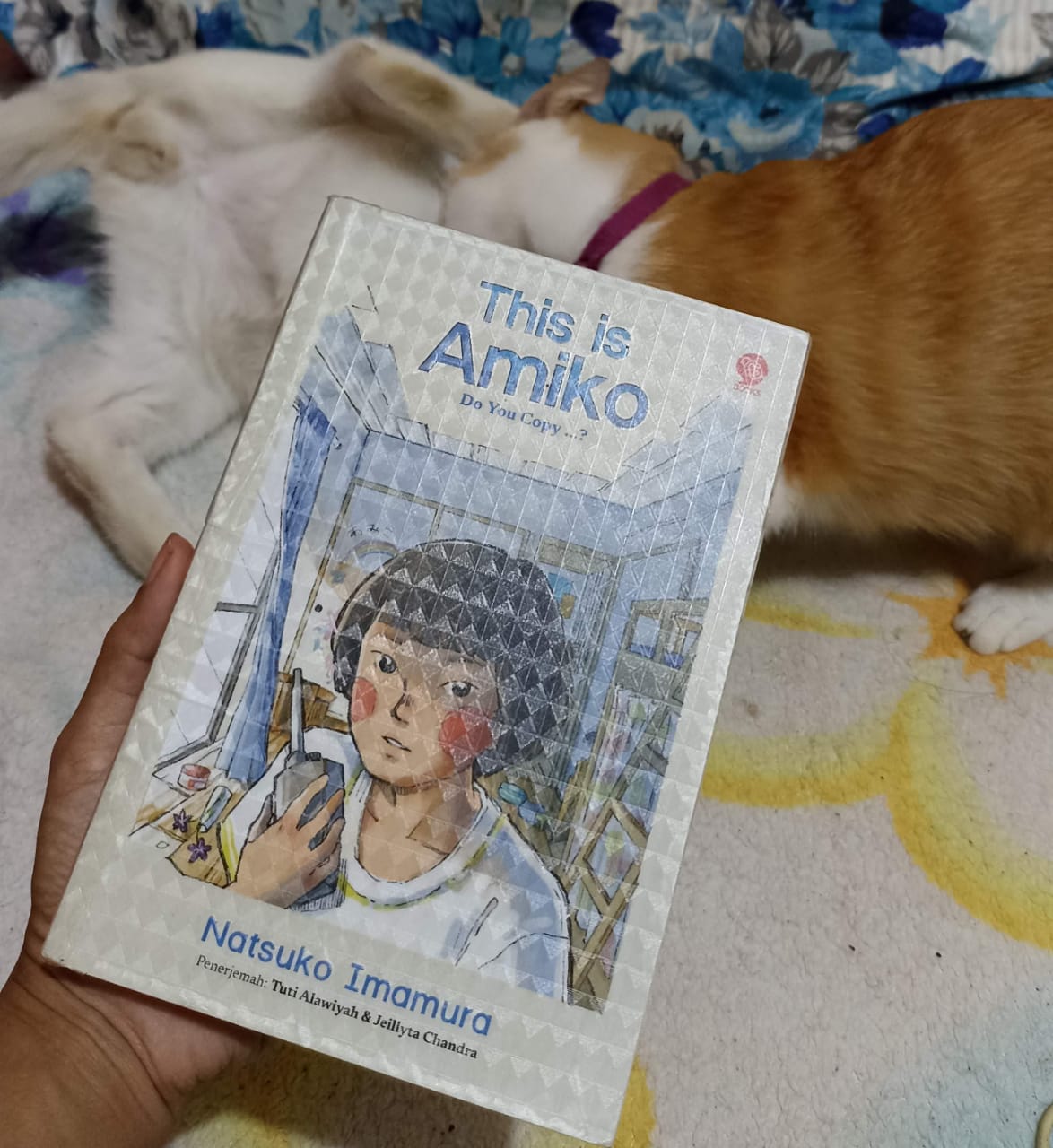This Is Amiko, Sastra Jepang tentang Anak yang Unik | Dewipuspasari's ...